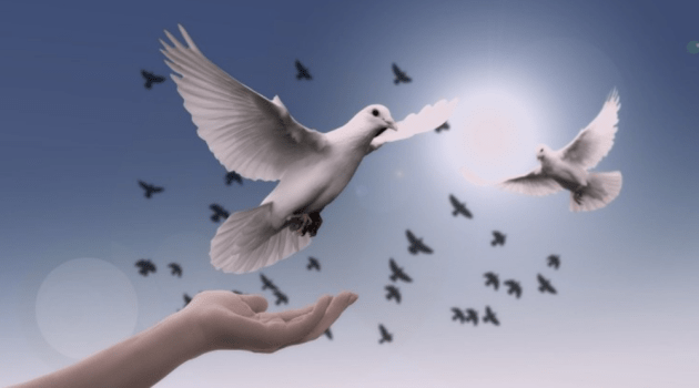 242 – A Grand Strategy. | Local Government Utopia